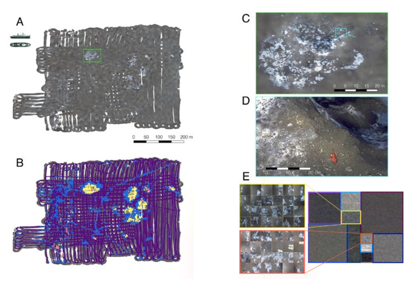 Artificial Intelligence and data analytics accelerate marine science ...